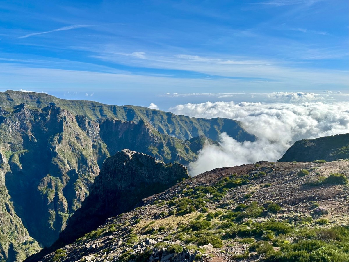 LoGaCulture – Kick Off – David Millard