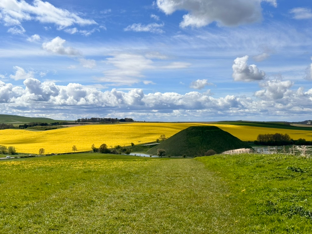 LoGaCulture General Assembly 2024 – David Millard